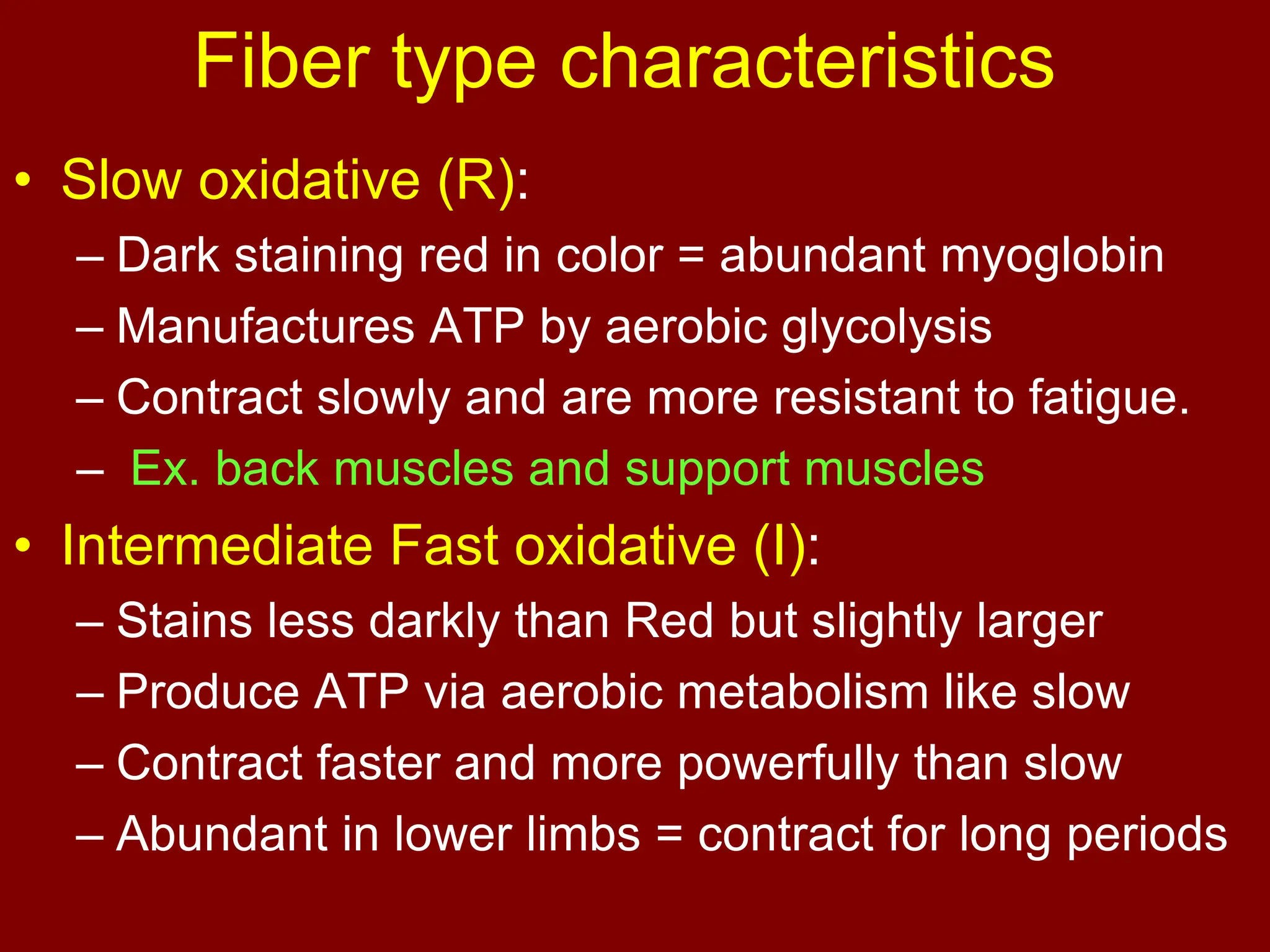 HISTOLOGY CH11 MUSCLE TISSUE | PPT