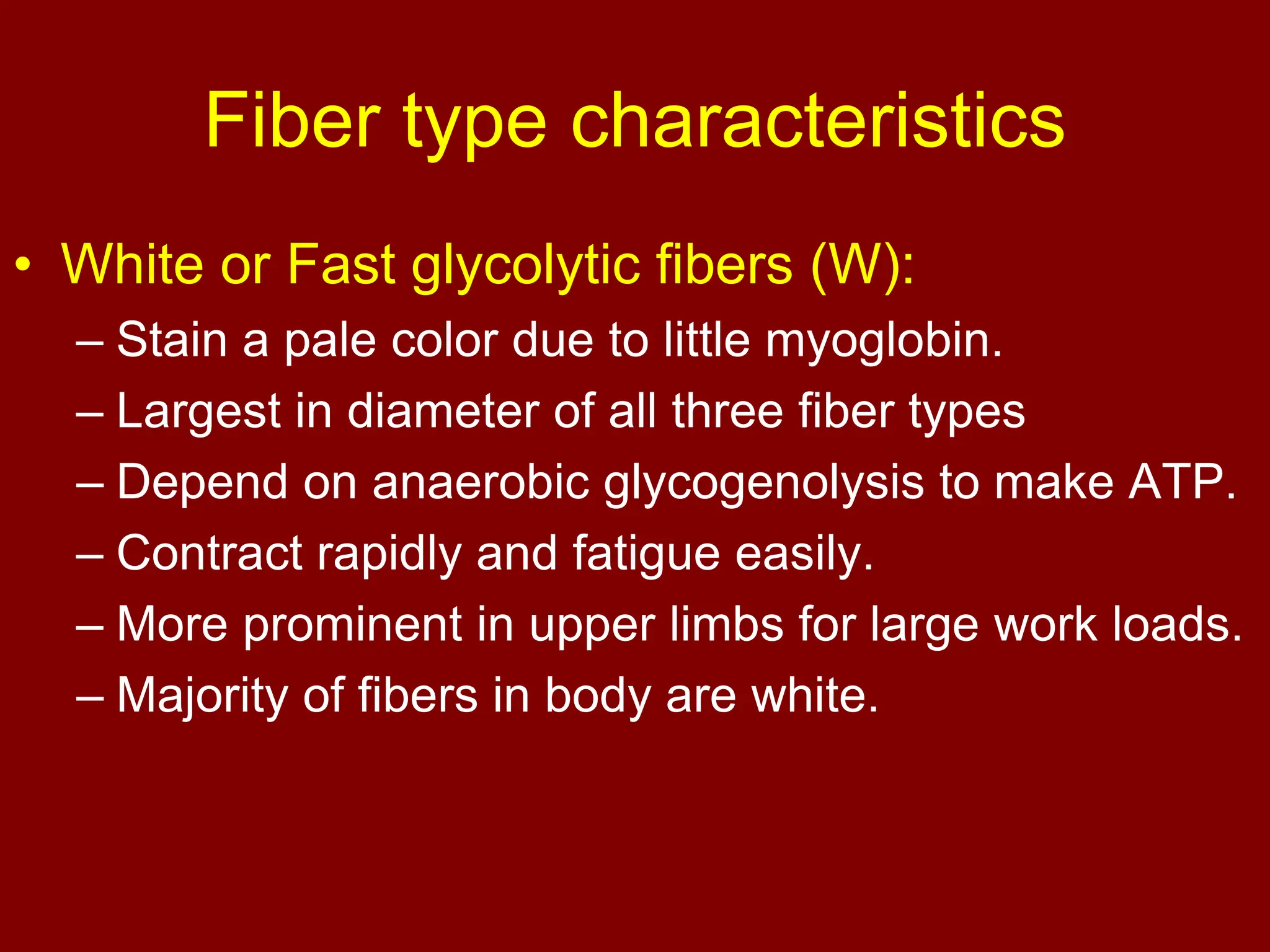 HISTOLOGY CH11 MUSCLE TISSUE | PPT