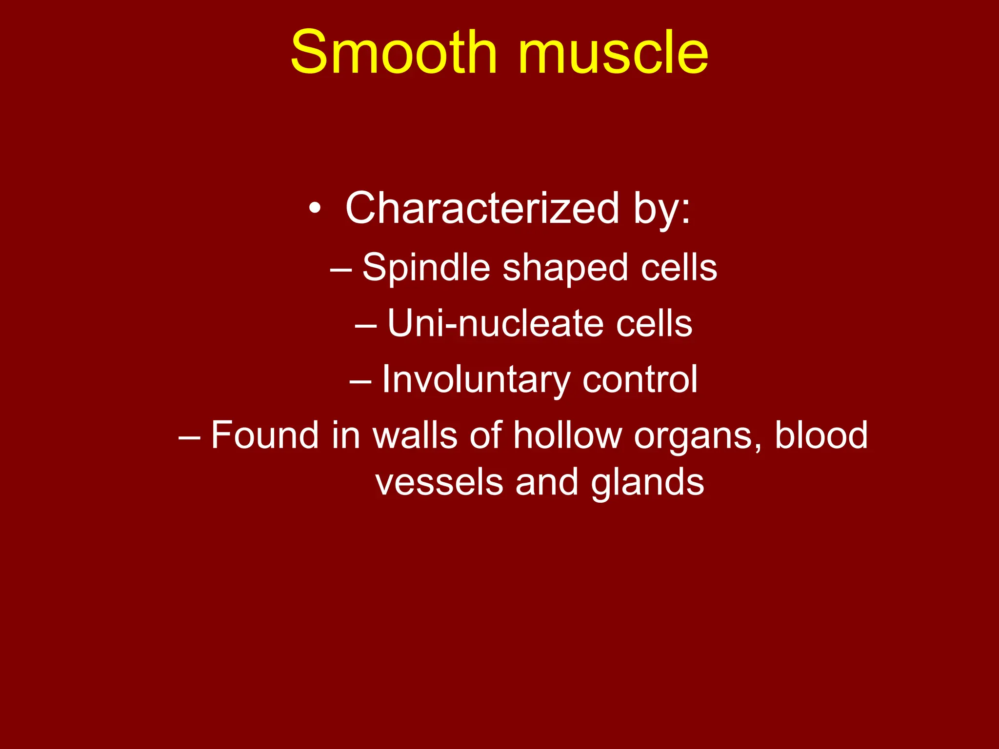 HISTOLOGY CH11 MUSCLE TISSUE | PPT