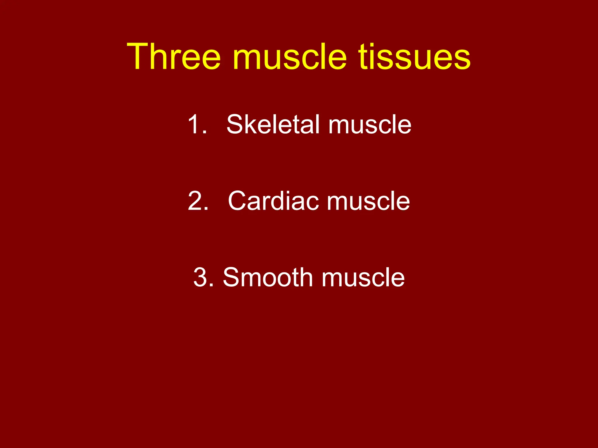 HISTOLOGY CH11 MUSCLE TISSUE | PPT