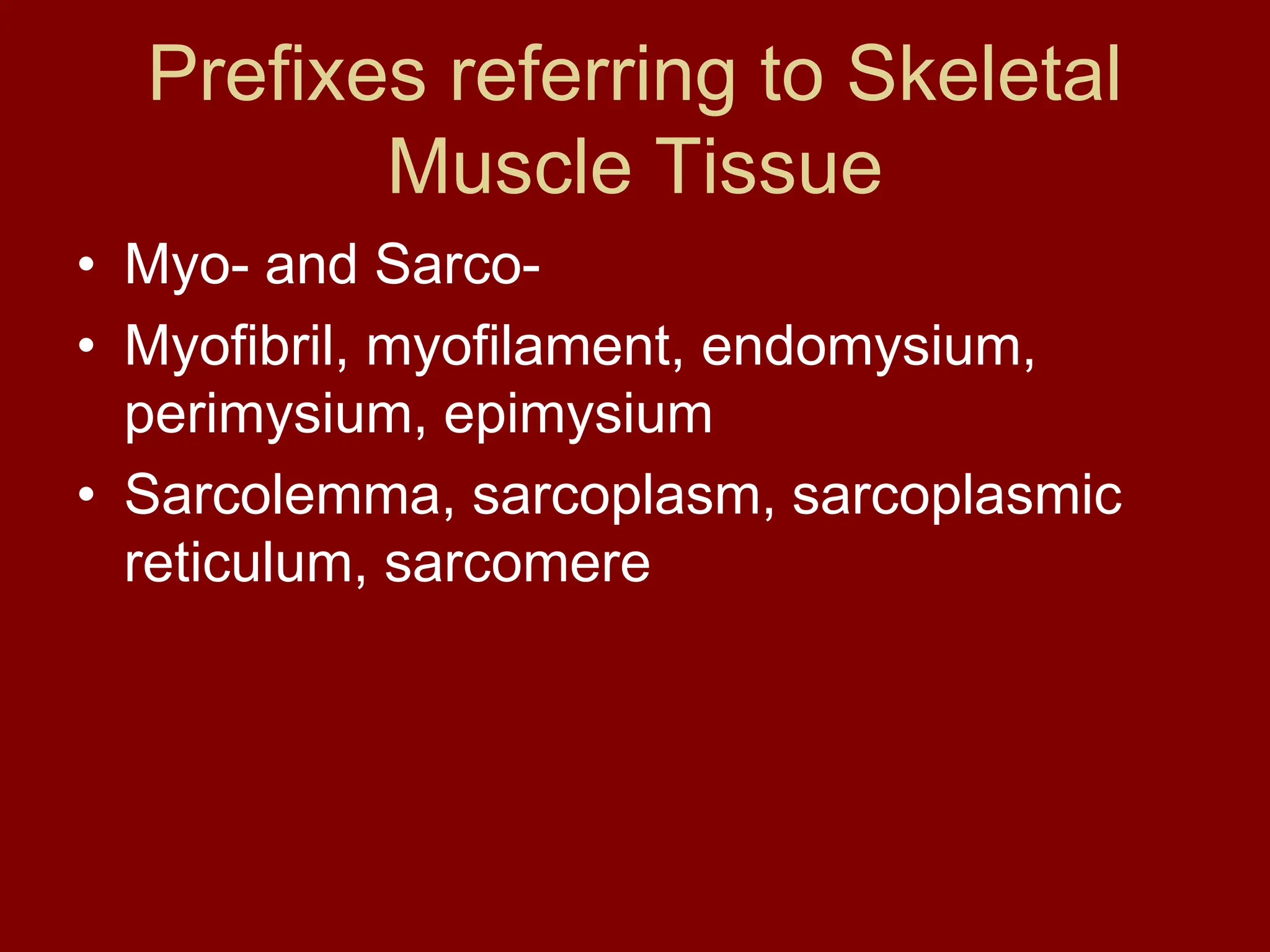 HISTOLOGY CH11 MUSCLE TISSUE | PPT