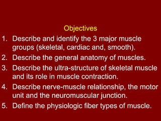 HISTOLOGY CH11 MUSCLE TISSUE | PPT