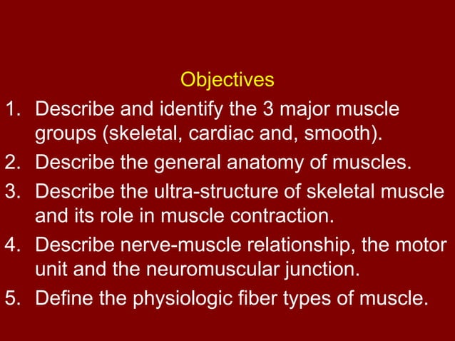 HISTOLOGY CH11 MUSCLE TISSUE | PPT