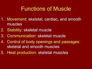 HISTOLOGY CH11 MUSCLE TISSUE | PPT