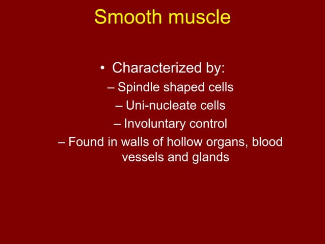 HISTOLOGY CH11 MUSCLE TISSUE | PPT