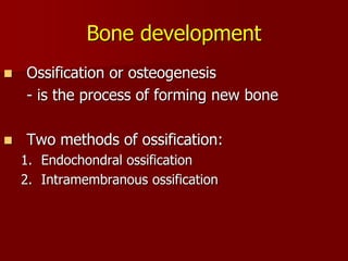 BIOL 2304 Chapter 6-2.ppt