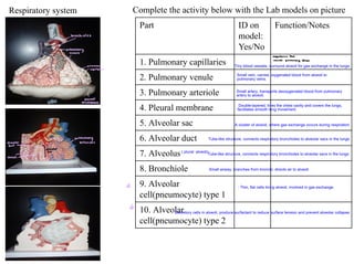 BIOL 2402 Practical 3 Respiratory system..pdf