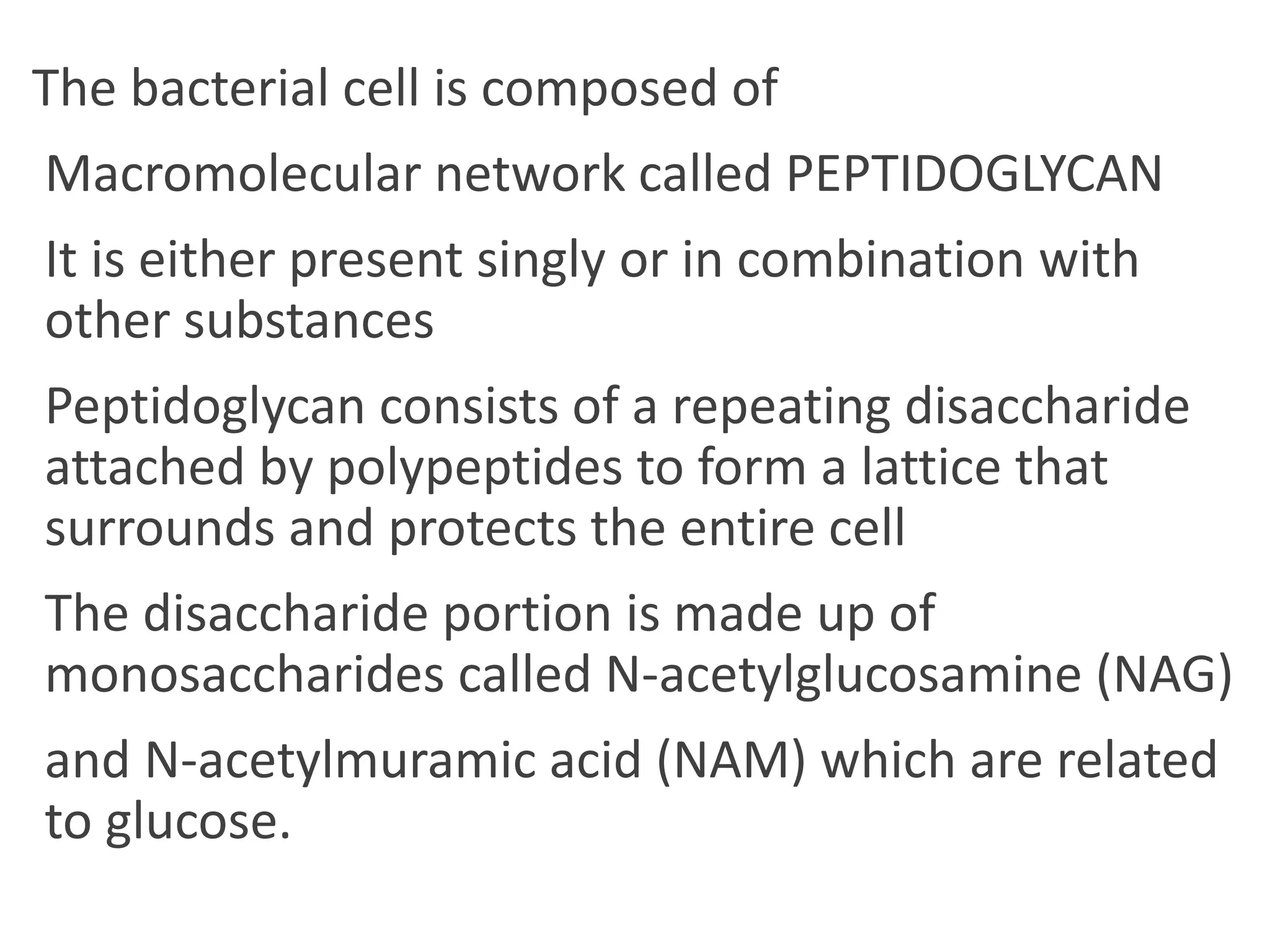 Anatomy of Microbiology Presentation slides | PPT