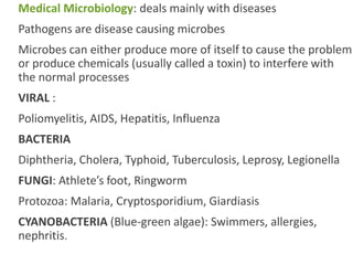 Anatomy of Microbiology Presentation slides | PDF