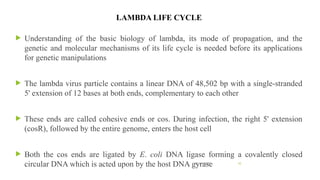 BIOL 315 MICROBIAL AND MOLECULAR GENETICSpptx | PPT