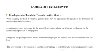 BIOL 315 MICROBIAL AND MOLECULAR GENETICSpptx | PPT