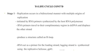 BIOL 315 MICROBIAL AND MOLECULAR GENETICSpptx | PPT