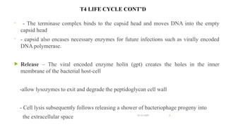 BIOL 315 MICROBIAL AND MOLECULAR GENETICSpptx | PPTX