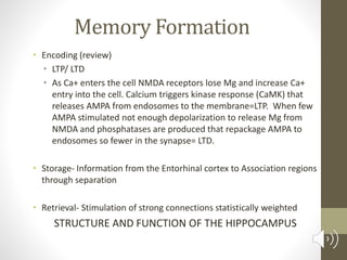 BIOL3415 Week 5 Lecture-1.pptx