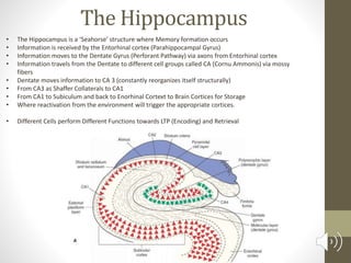 BIOL3415 Week 5 Lecture-1.pptx