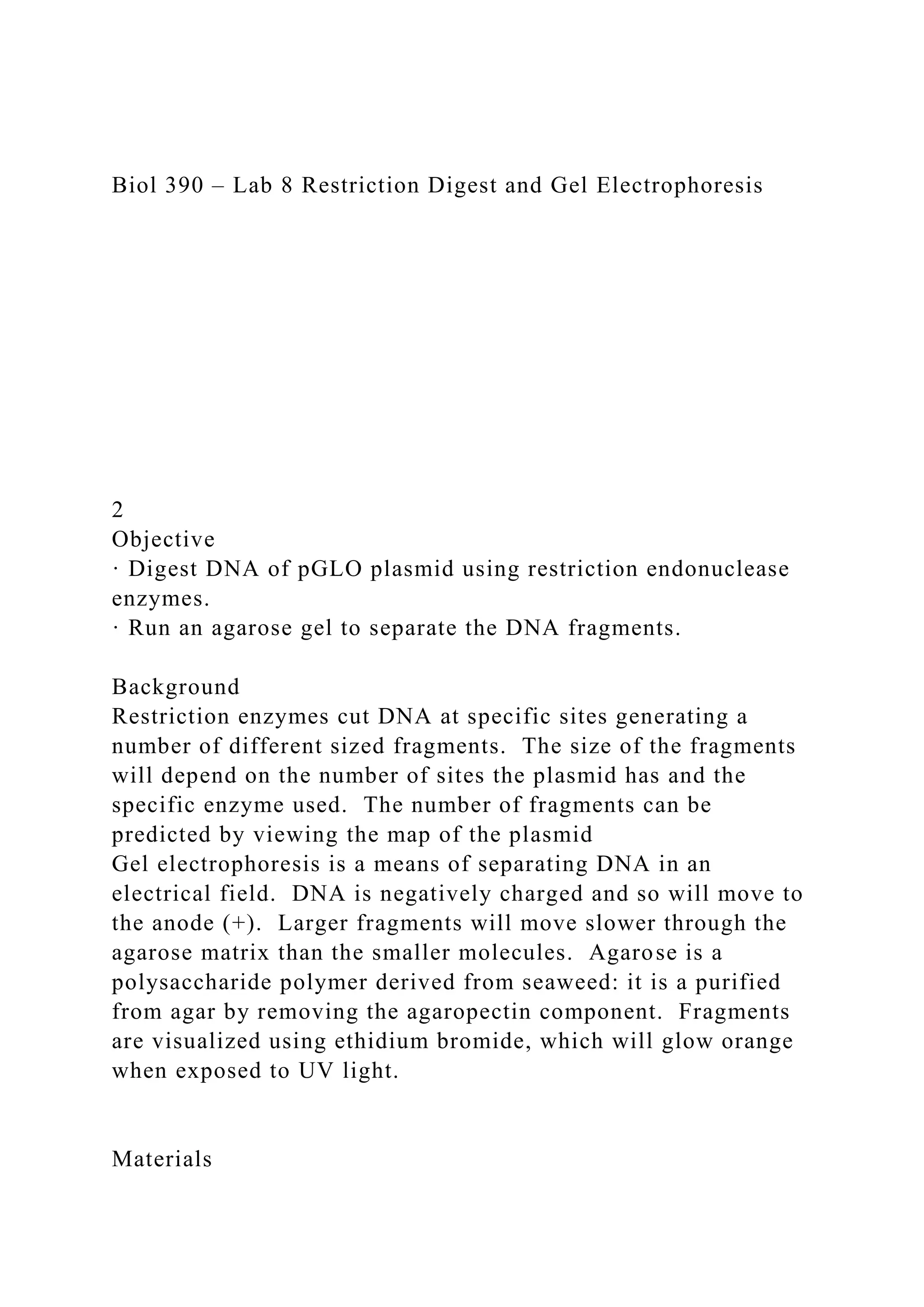 Biol 390 – Lab 8 Restriction Digest and Gel Electrophoresis .docx