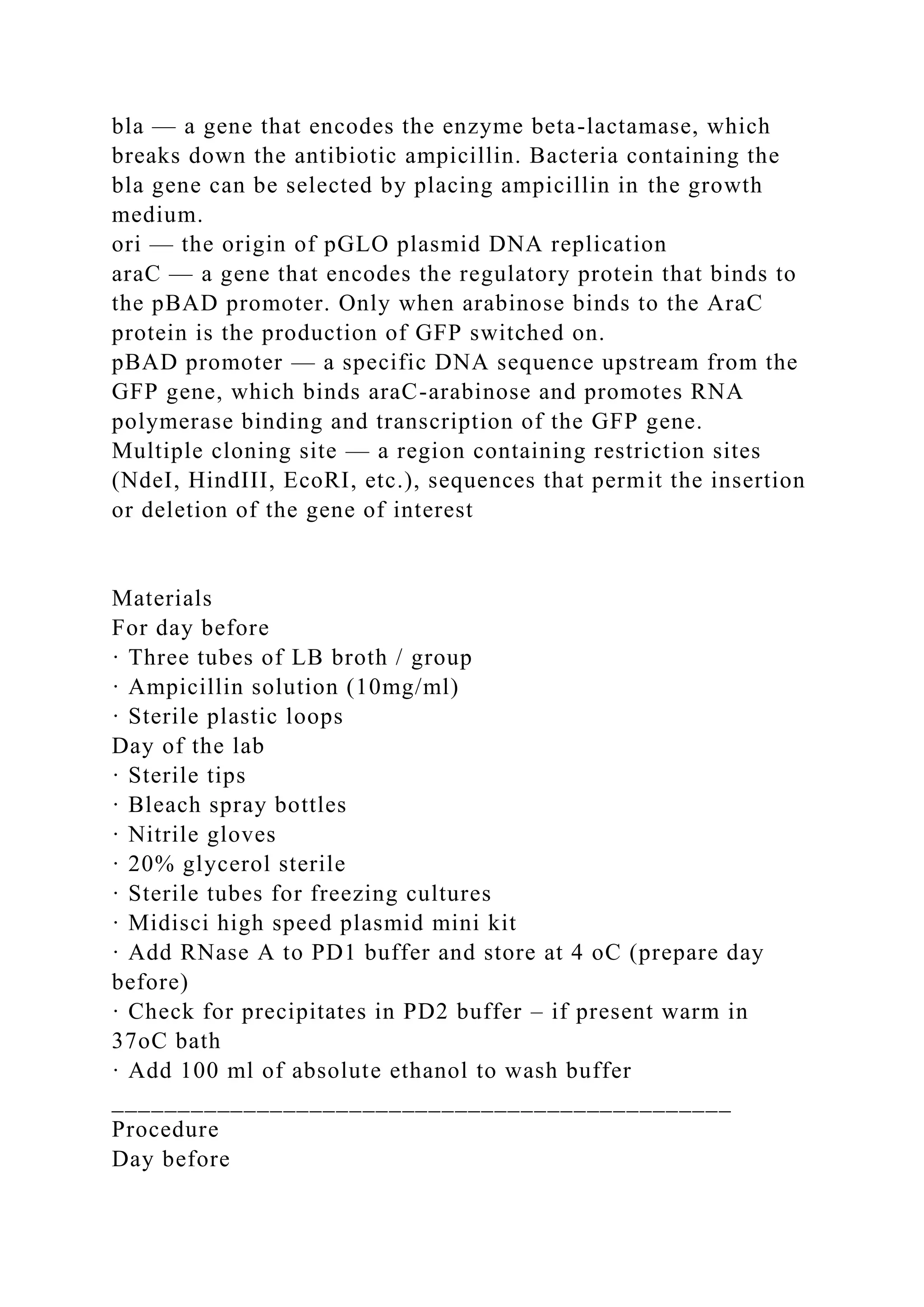 Biol 390 – Lab 8 Restriction Digest and Gel Electrophoresis .docx ...