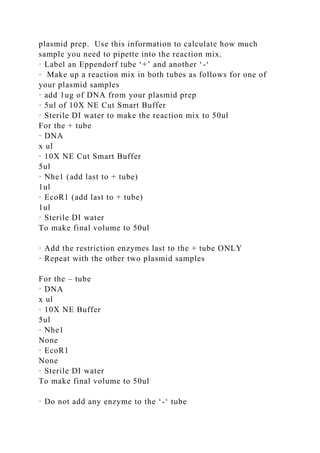 Biol 390 – Lab 8 Restriction Digest and Gel Electrophoresis .docx
