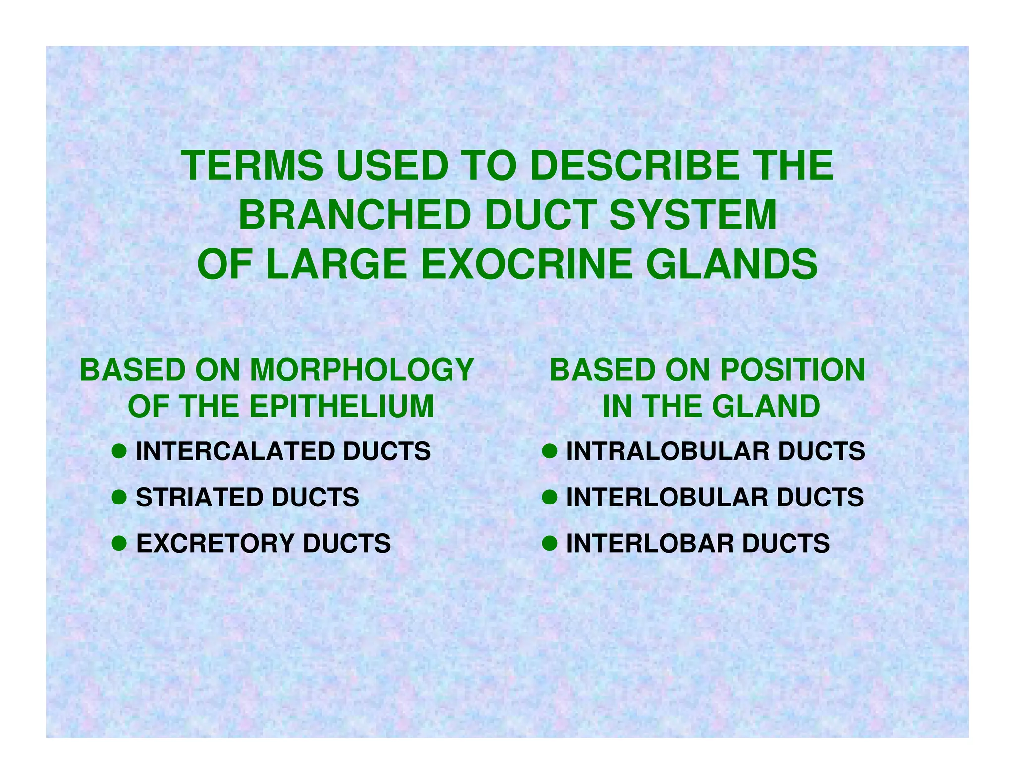 Biol 432 pp digestive glands | PDF