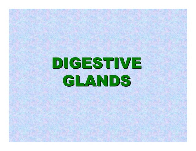 Biol 432 pp digestive glands | PPT
