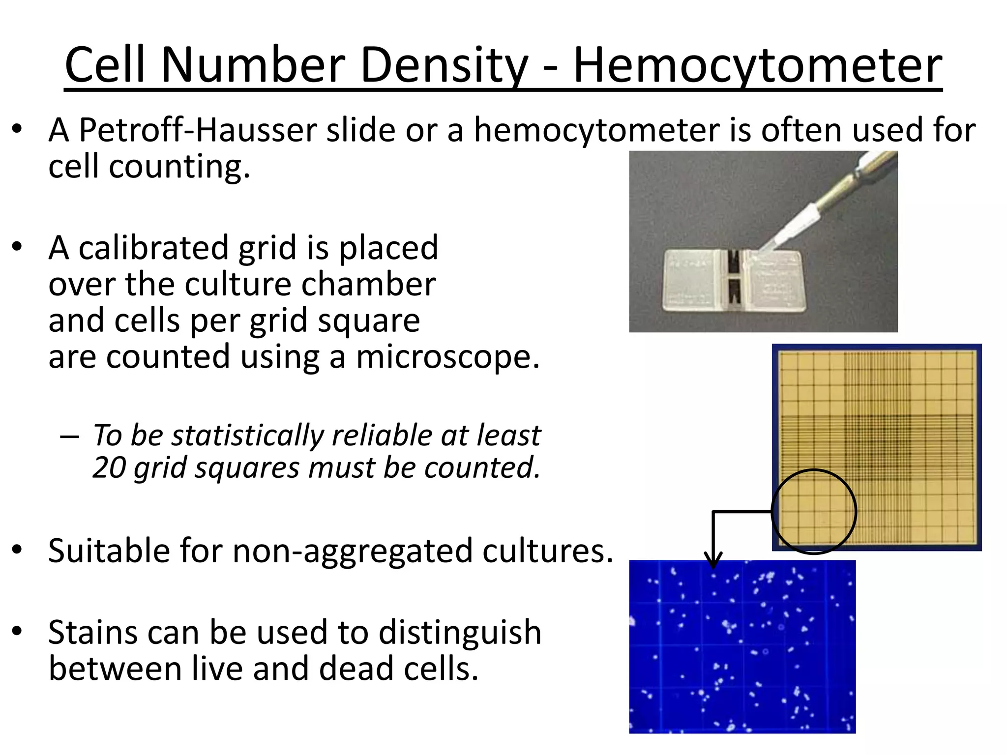 Biol500 Cell Growth & Kinetics | PPTX