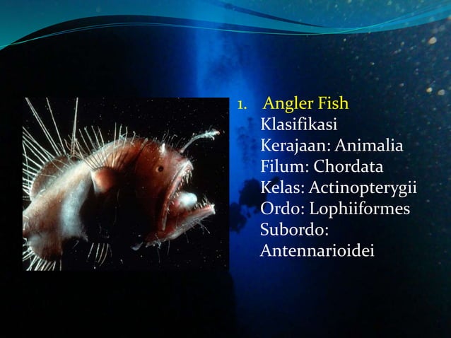 Ikan Laut Dalam | PPTX