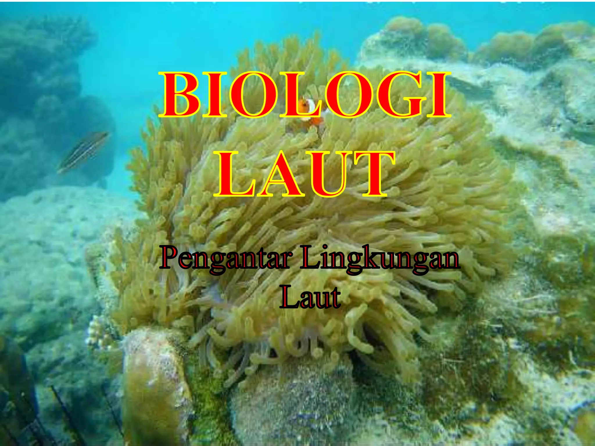 Biologi Laut_2 | PPTX