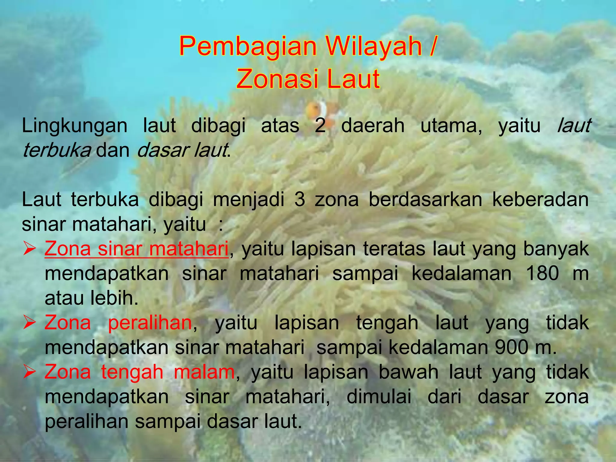 Biologi Laut_2 | PPTX