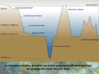 Biologi Laut_2 | PPTX
