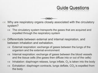 Bio 22 Lab Respiratory System | PPTX