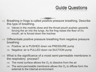 Bio 22 Lab Respiratory System | PPTX