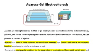 Restriction Digestion of DNA and DNA Length Estimation by Gel ...