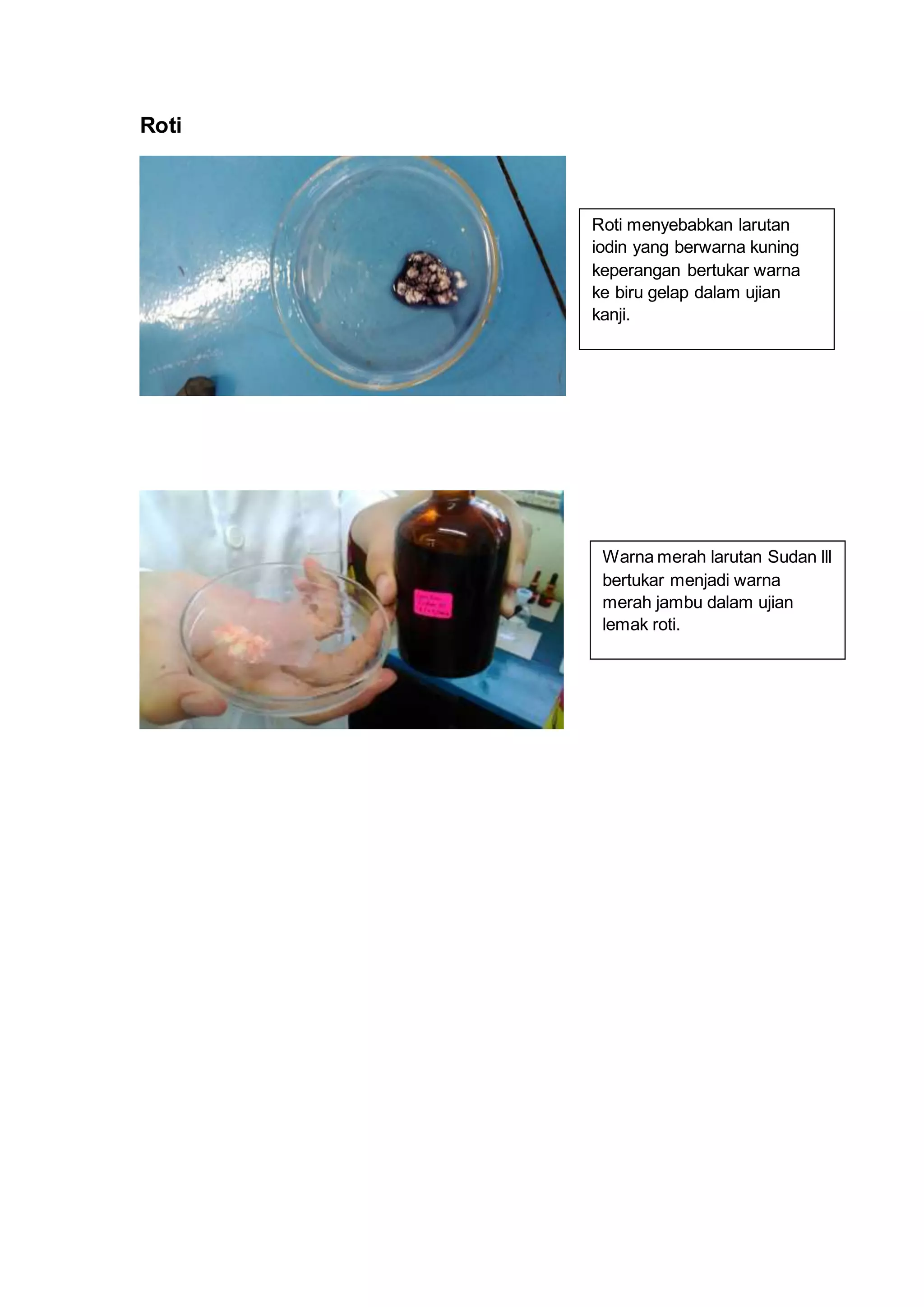 Bio laporan amali ujian makanan | DOCX