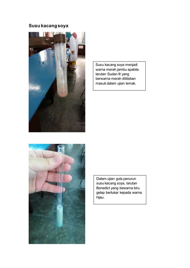 Bio laporan amali ujian makanan | DOCX