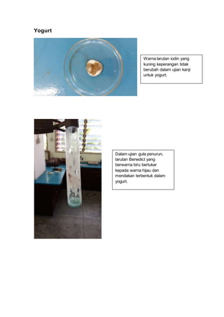 Bio laporan amali ujian makanan | DOCX