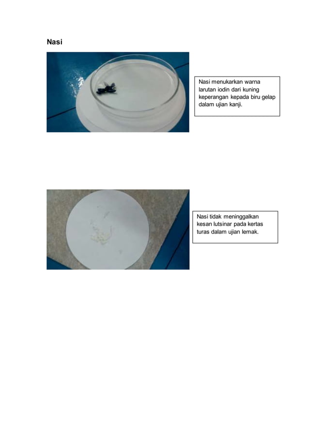 Bio laporan amali ujian makanan | DOCX