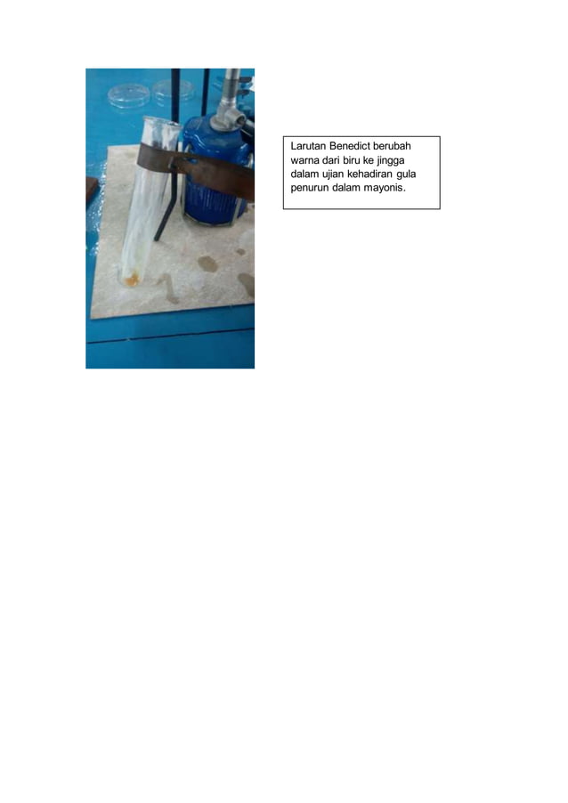 Bio laporan amali ujian makanan | DOCX