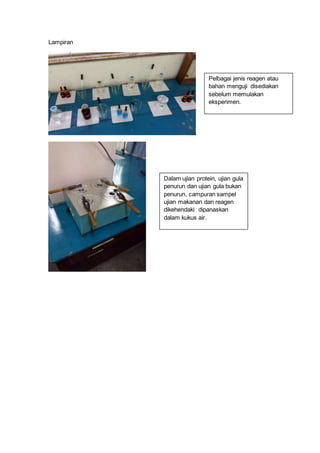 Bio laporan amali ujian makanan | DOCX