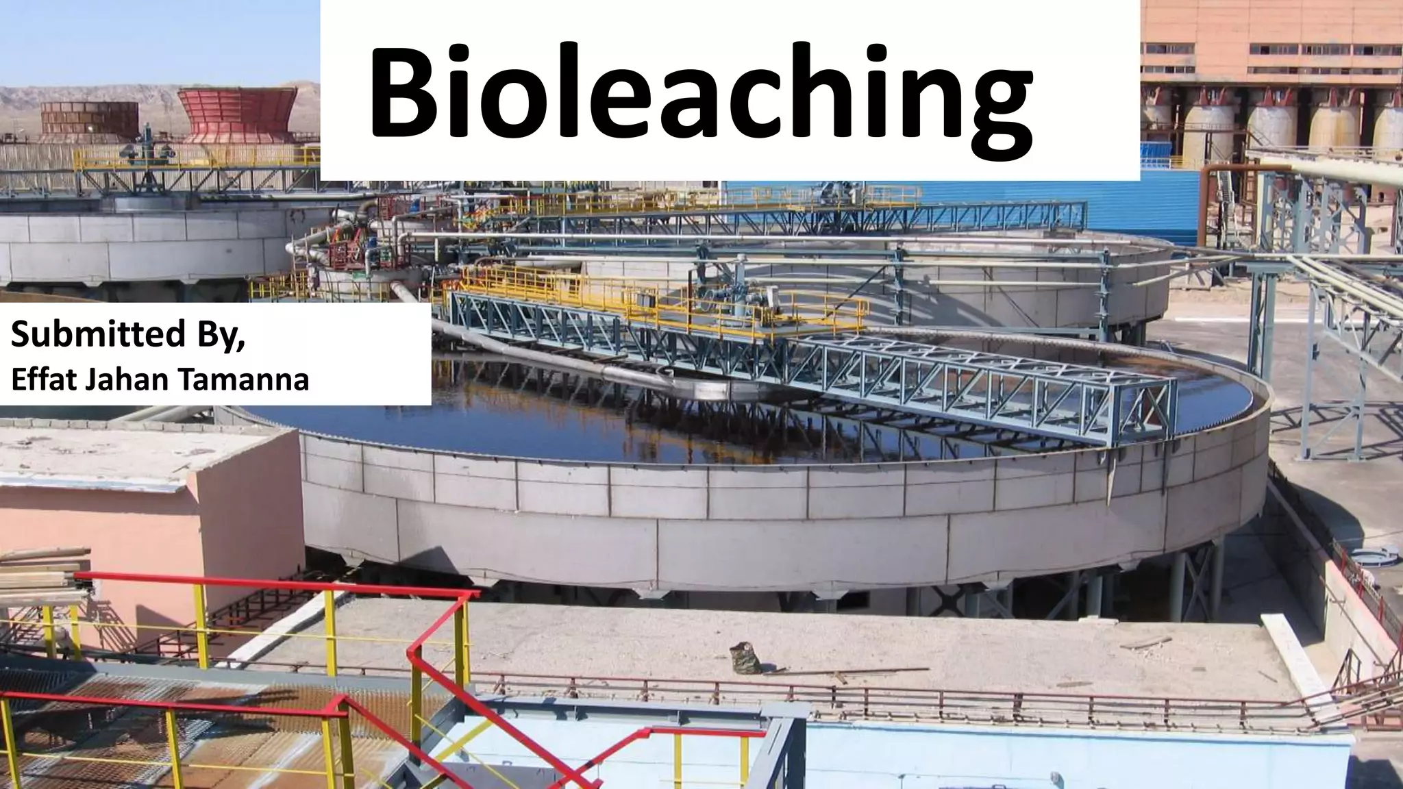 Bioleaching | PPTX