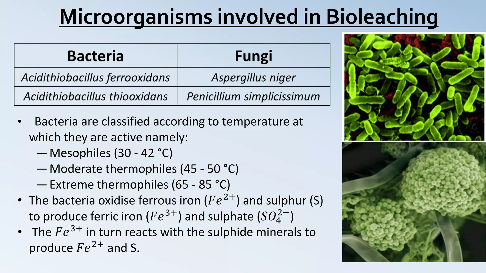 Bioleaching | PPTX