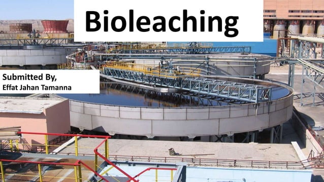 Bioleaching | PPTX | Chemistry | Science