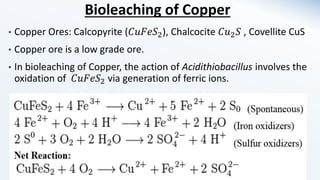 Bioleaching | PPTX