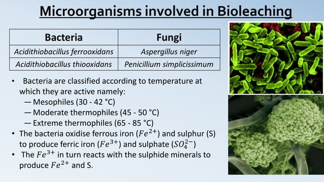 Bioleaching | PPTX | Chemistry | Science