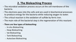 Bioleaching | PPTX