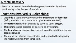 Bioleaching | PPTX
