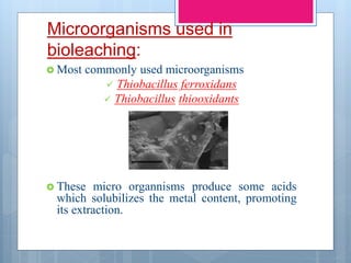 Bioleaching | PPTX