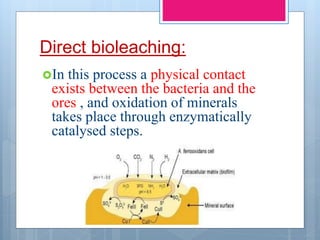 Bioleaching | PPTX