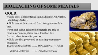 Bioleaching | PPTX