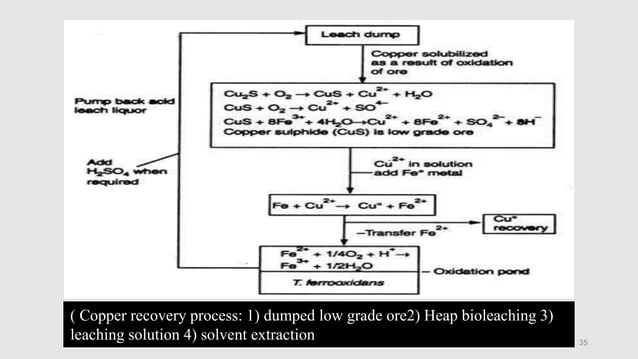 Bioleaching | PPTX