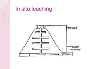 Bioleaching | PPTX